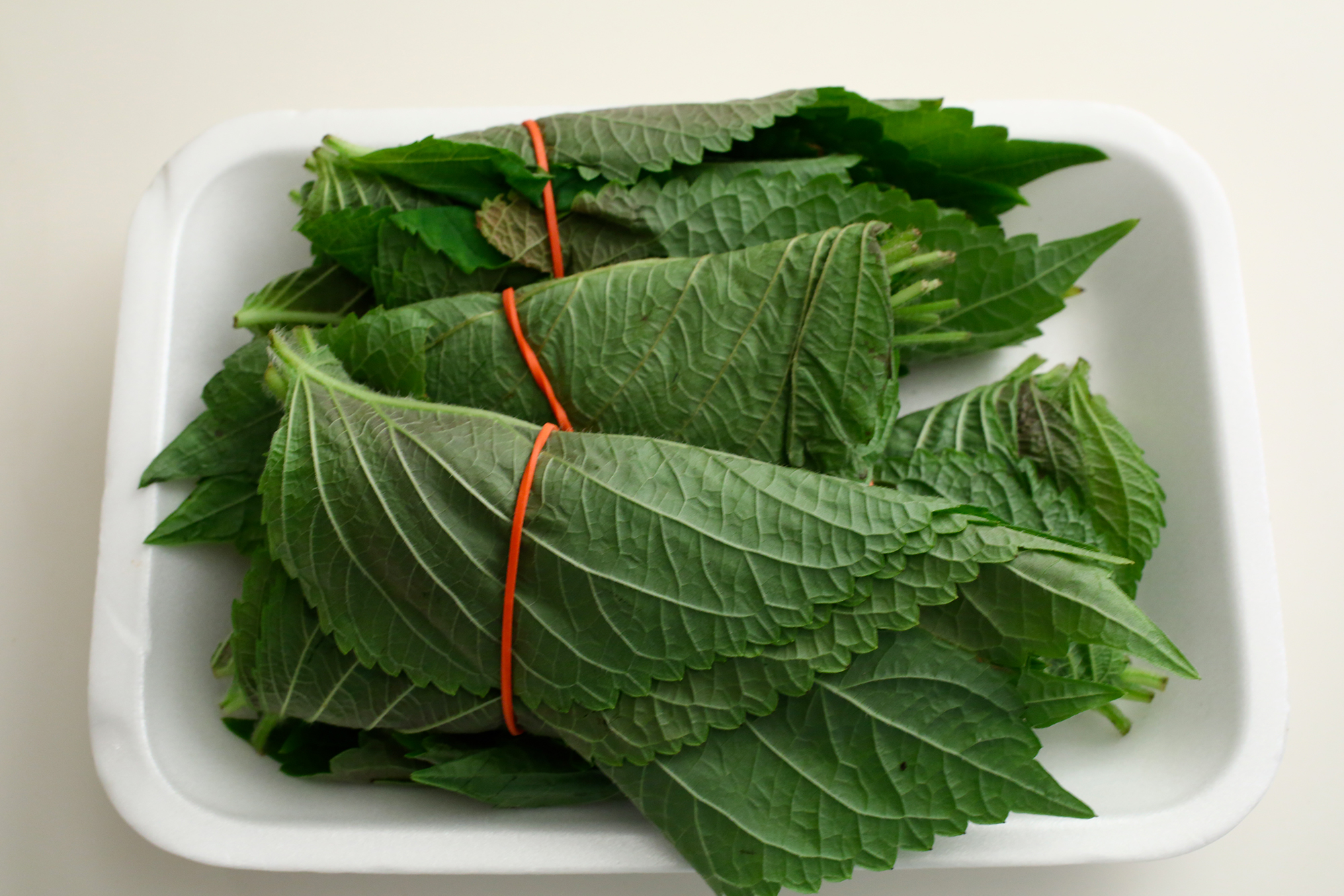 sesame leaves - Cathlyn's Korean Kitchen PBS Cooking Show
